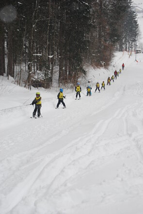 Schilift Litzl in Betrieb / Sport & Gesundheit / News / Aktuell / vivomondo